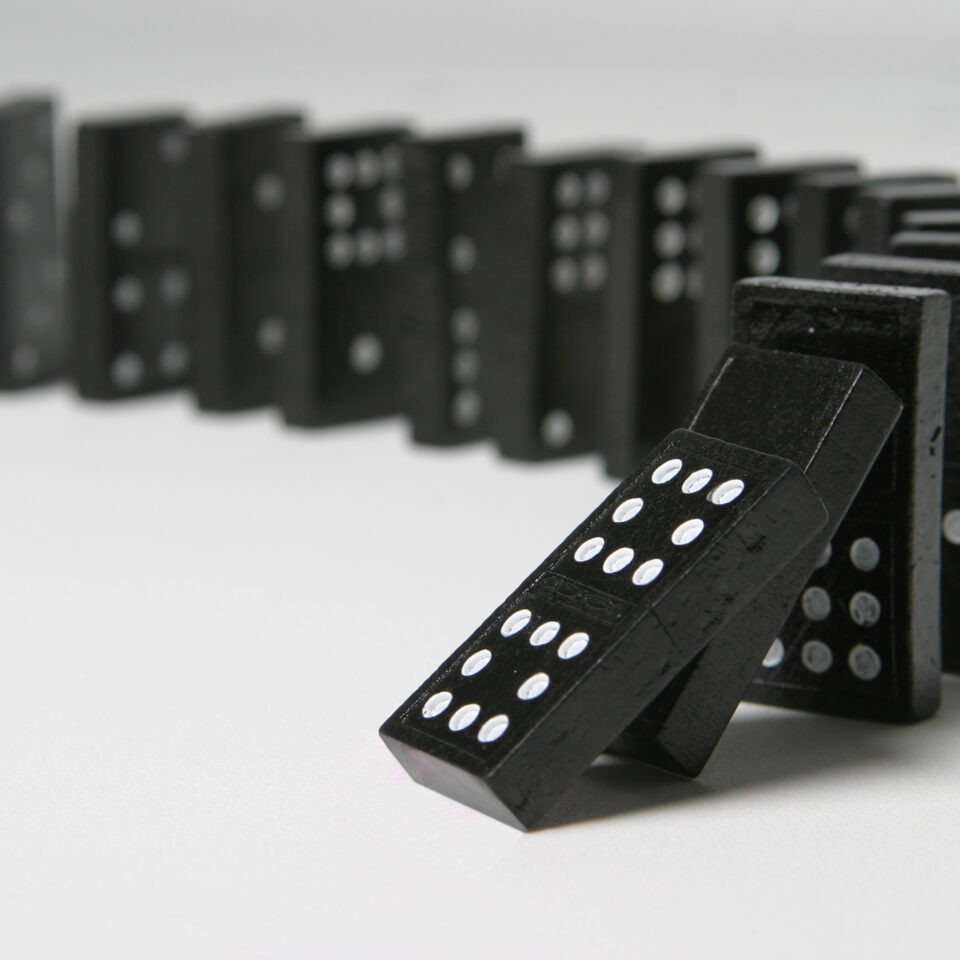 Wanneer de eerste steen valt: ouder zijn van een hoogbegaafd kind – Kim ...